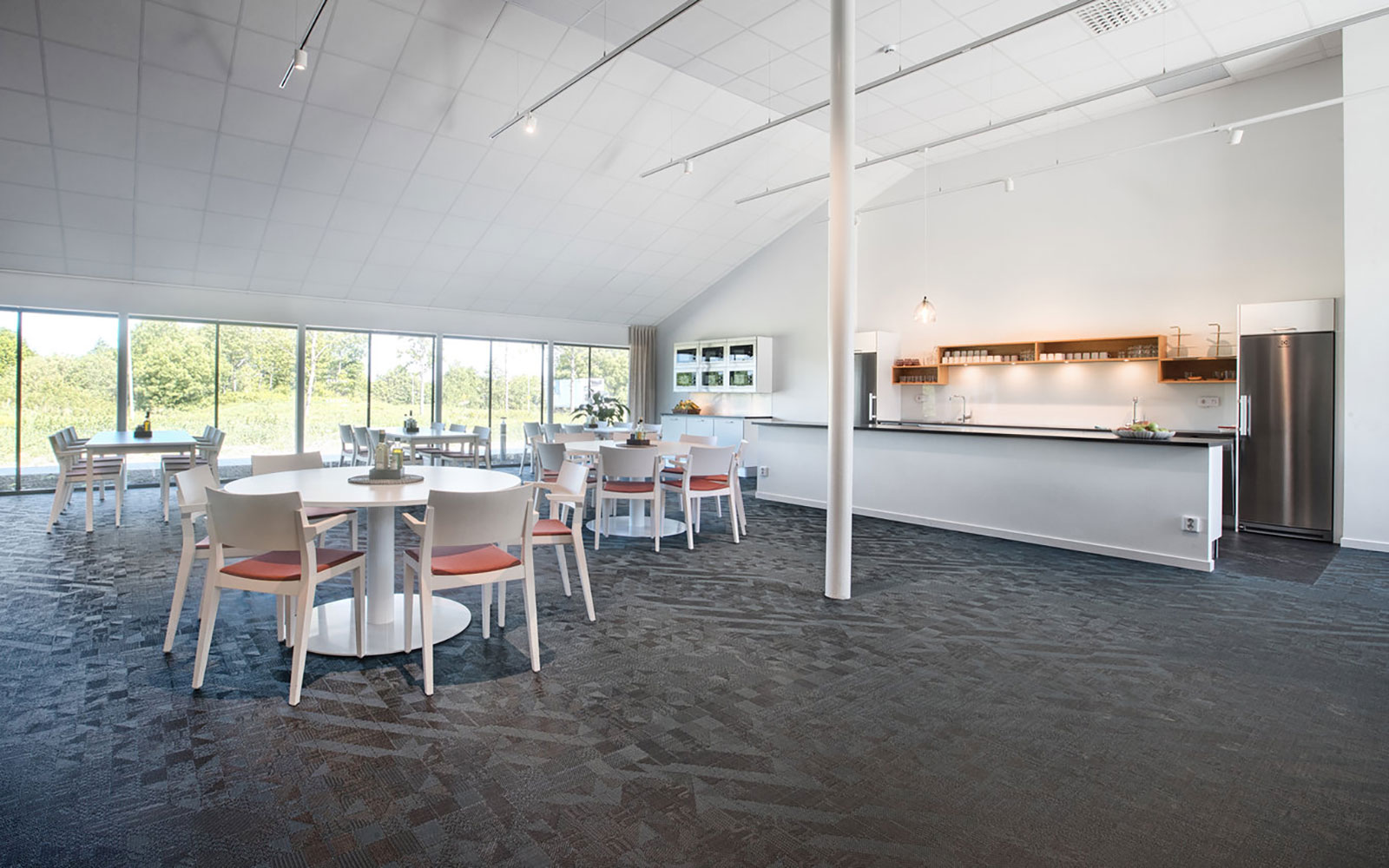 ELEIKO - BOLON 般龙